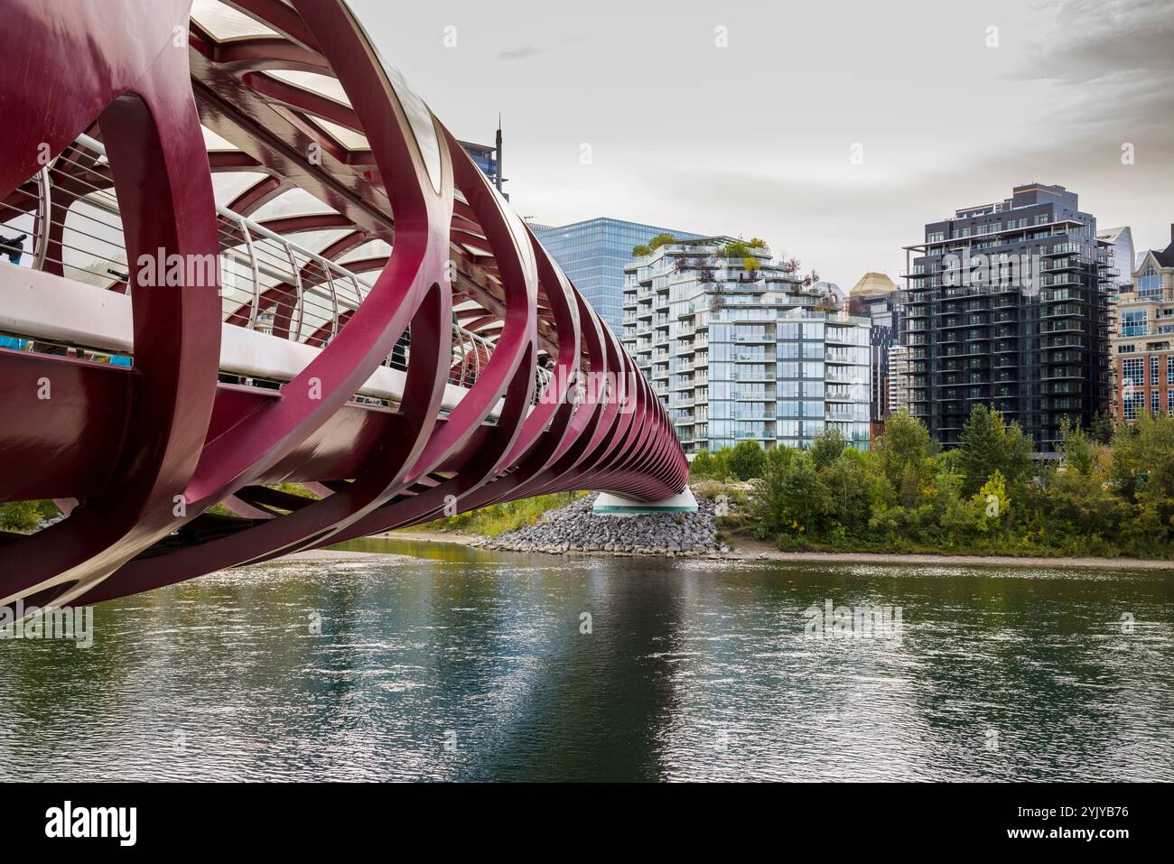 Travel destination Calgary. Peace Bridge across Bow River with Modern ...
