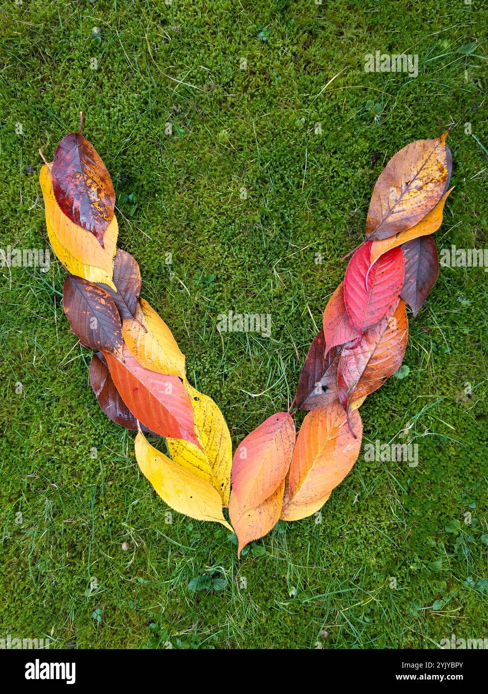 Autumn alphabet hi-res stock photography and images - Alamy