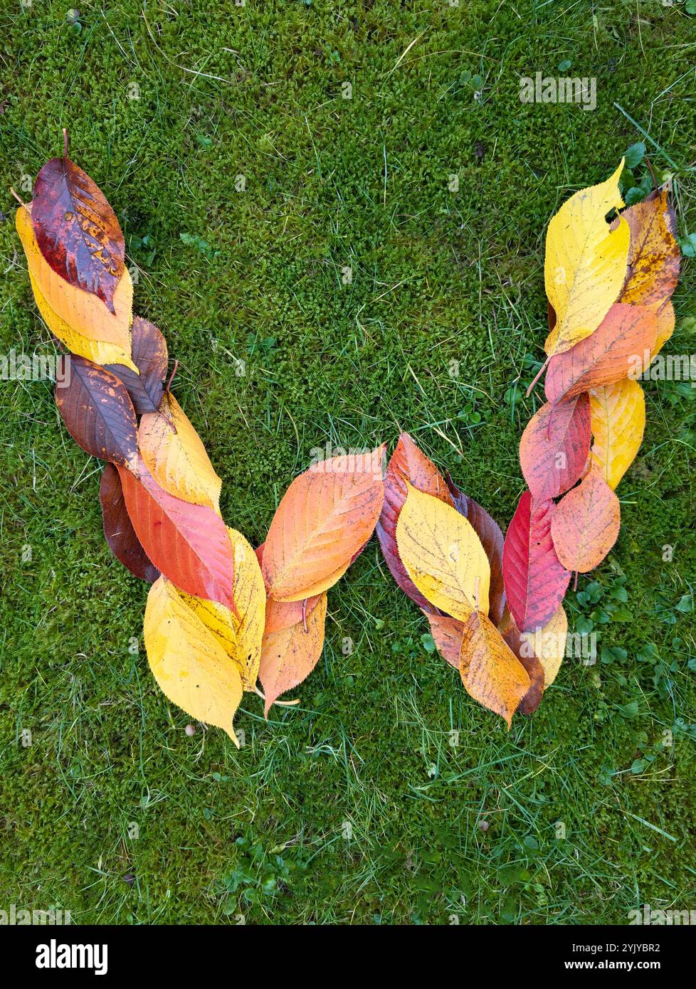 The letter W formed from colorful autumn leaves on green background ...