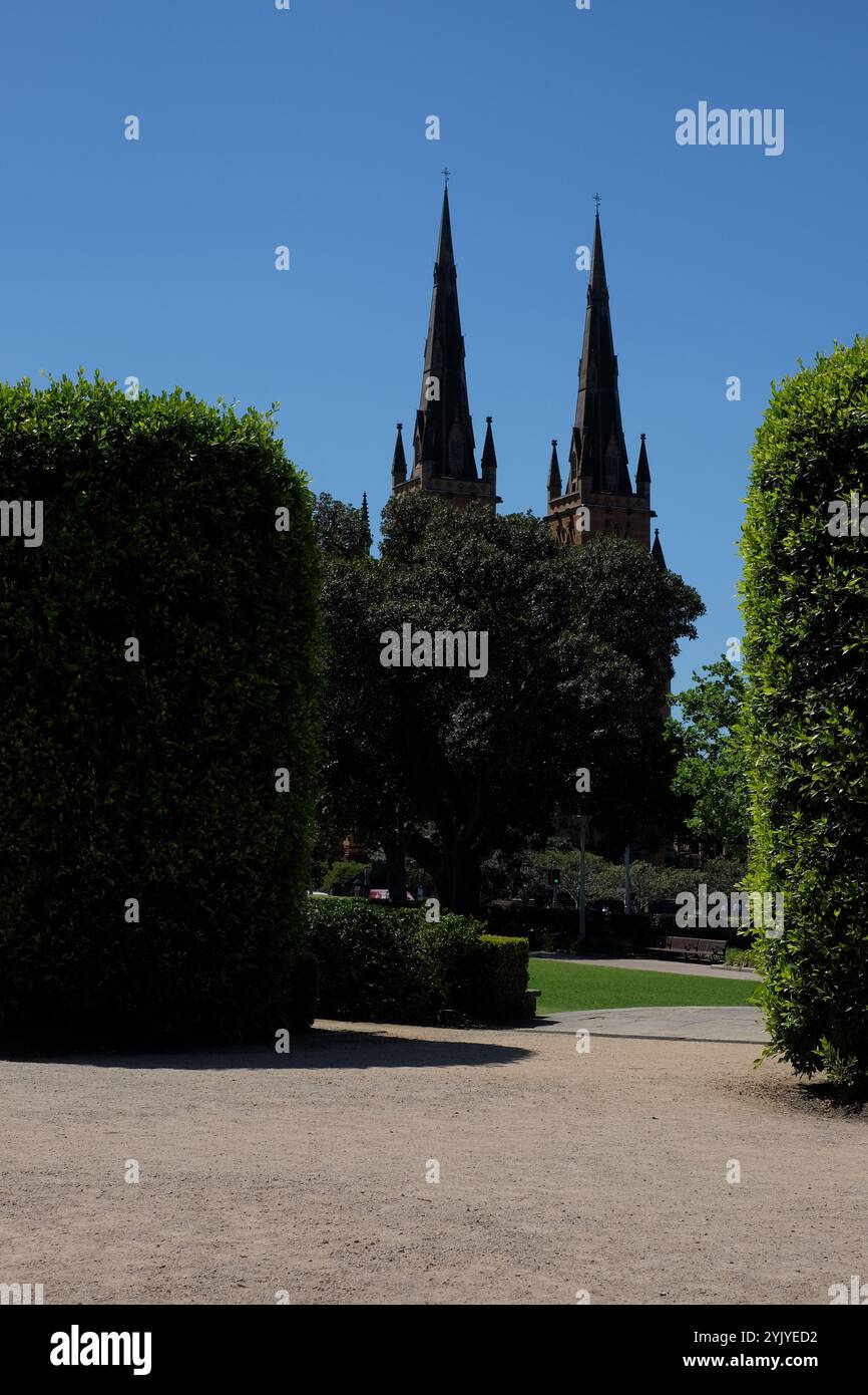 The pointed shape of two spires of St Marys Cathedral ride behind tall ...