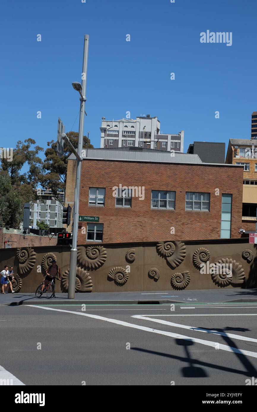 Cast concrete wall of cast fossils, behind the Australian Museum ...