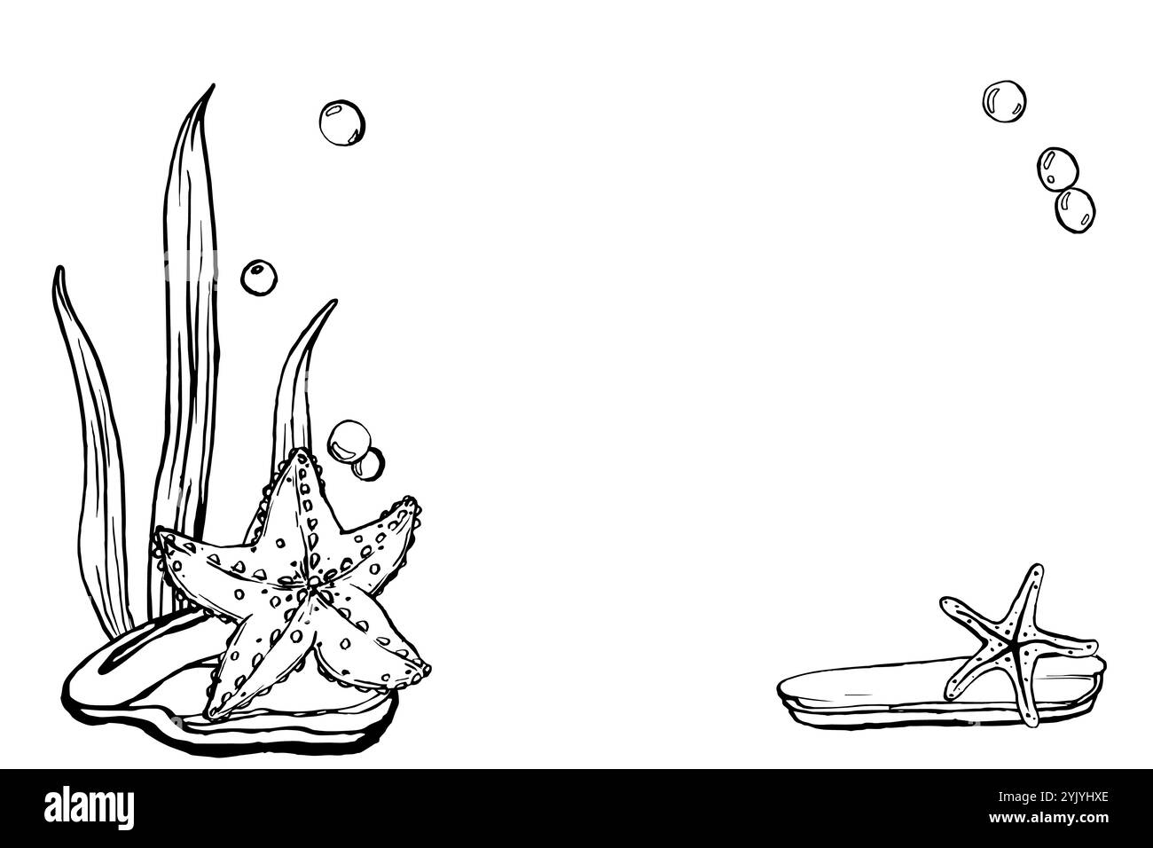 Vector starfish illustrations. Seabed landscape design template drawing ...