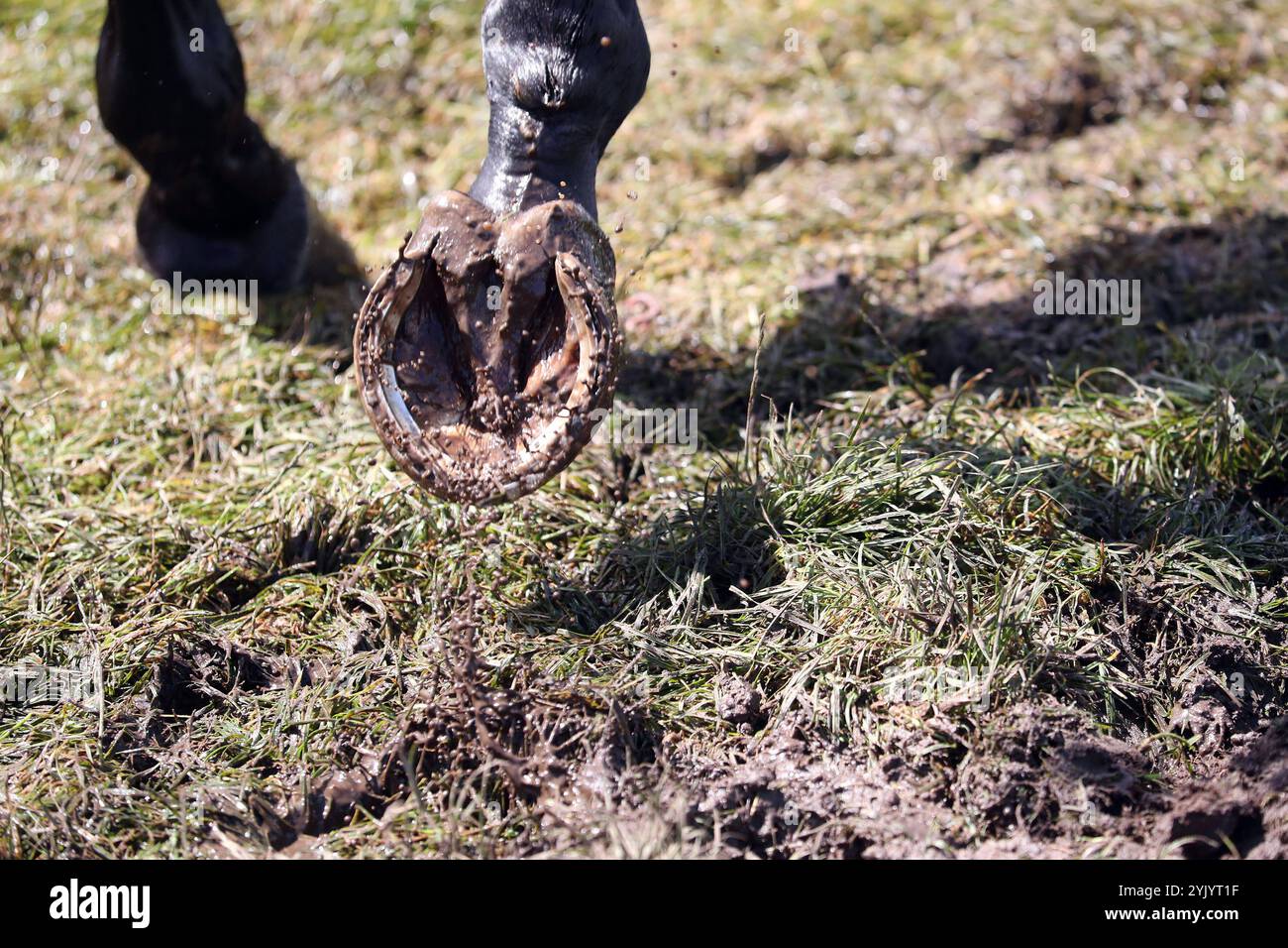 Huf germany hi-res stock photography and images - Alamy