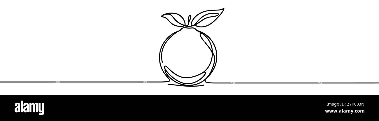 One continuous line illustration of a lime, isolated on white ...