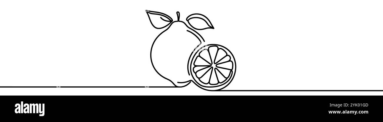 One continuous line illustration of a lime, isolated on white ...