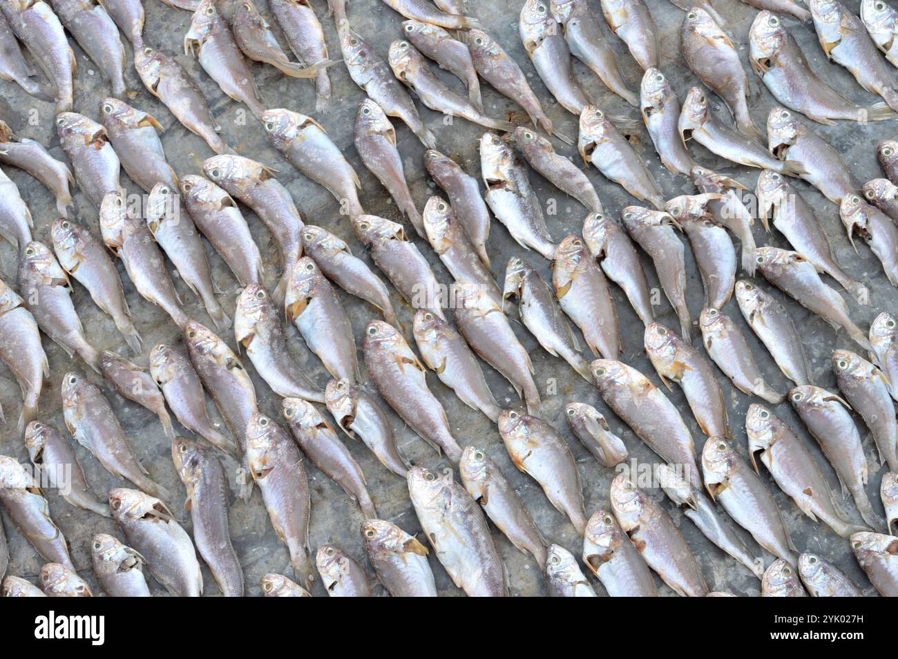 patterns of dried fish background Stock Photo - Alamy
