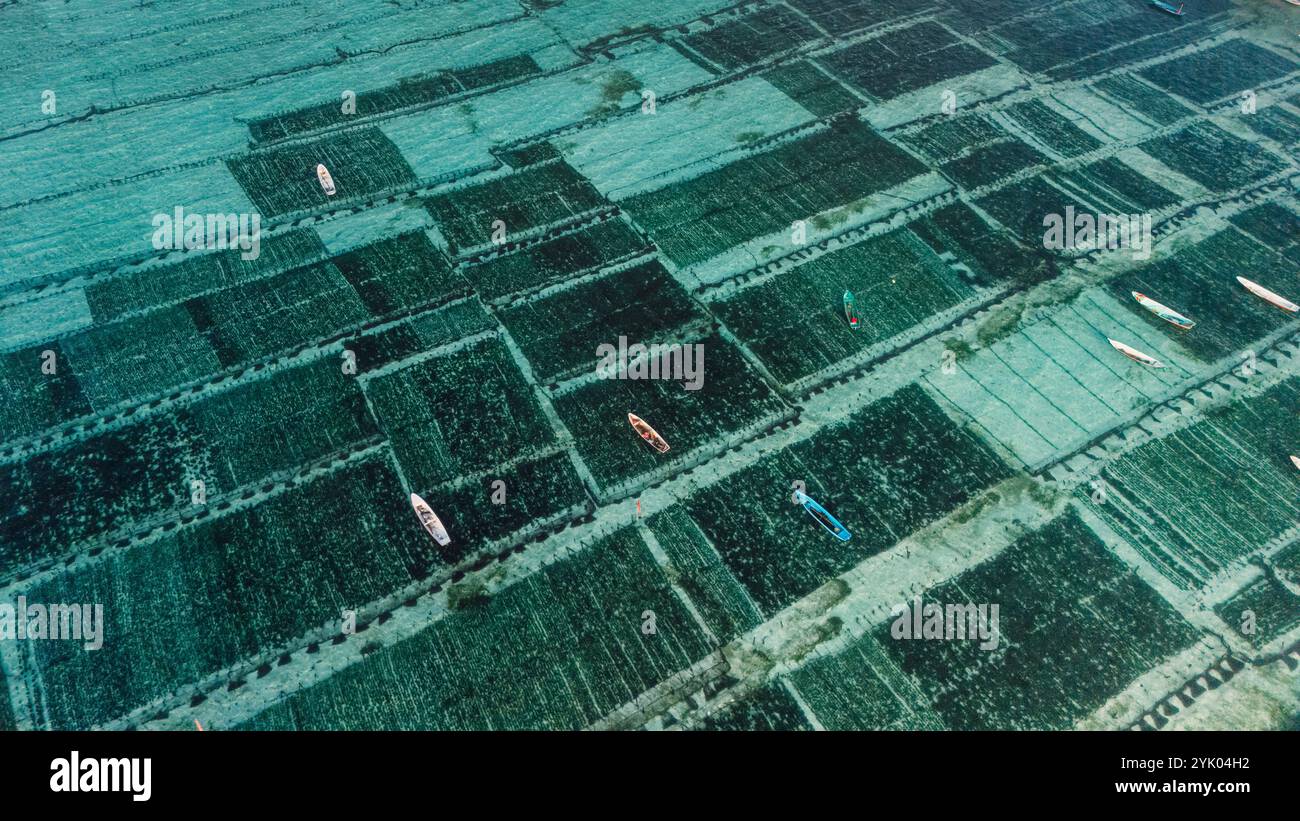Aerial view of seaweed farm at Lembongan island in Indonesia Stock ...