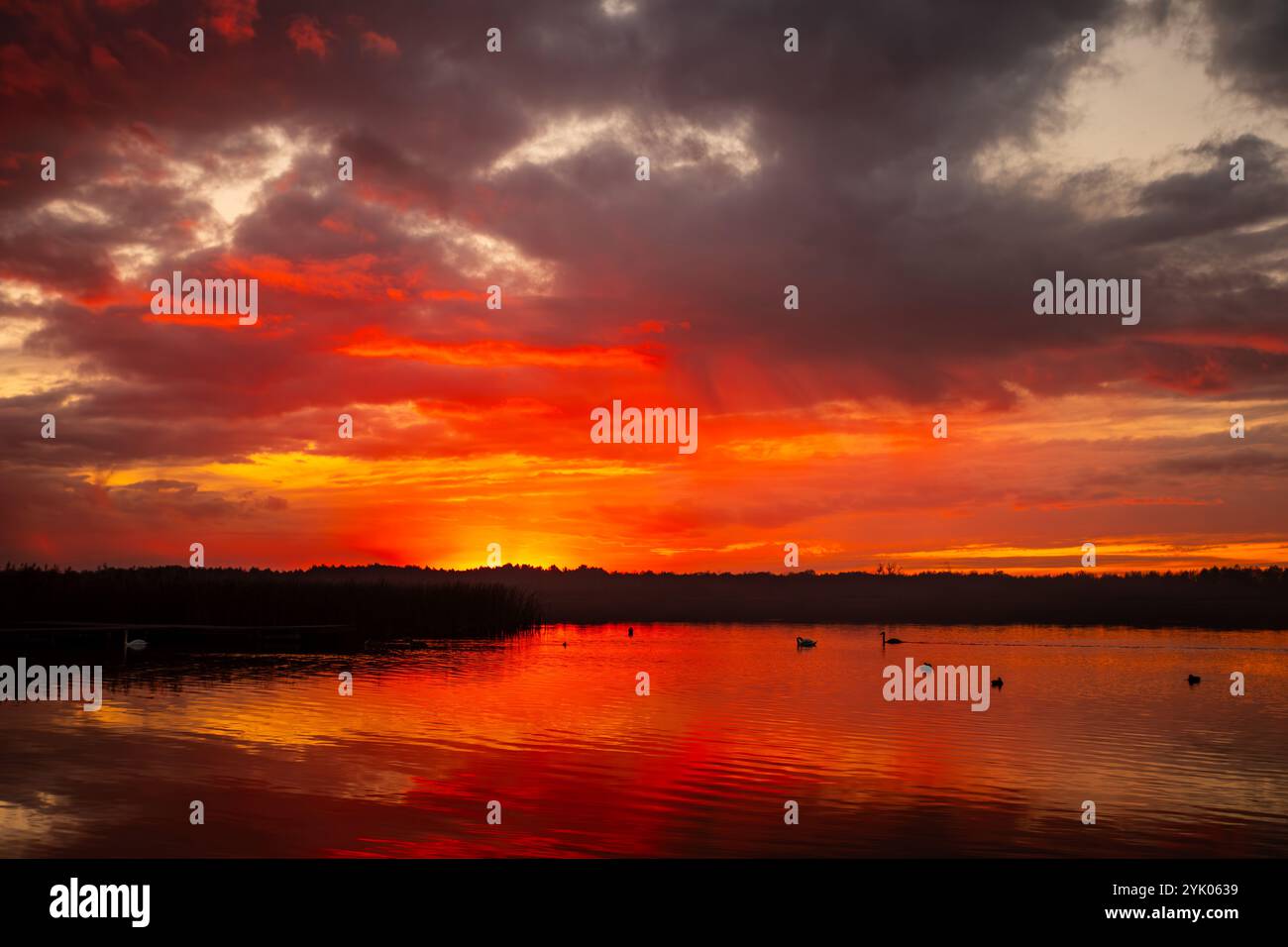 The Stunning Sunset Over Calm Waters Is Reflecting Beautifully Vibrant ...
