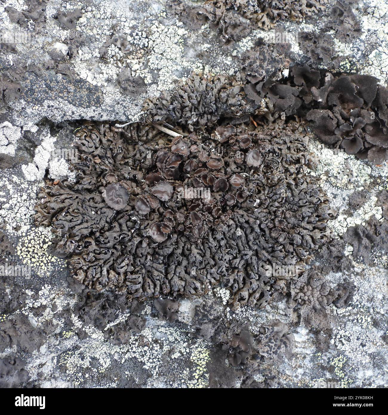 Stygian hi-res stock photography and images - Alamy