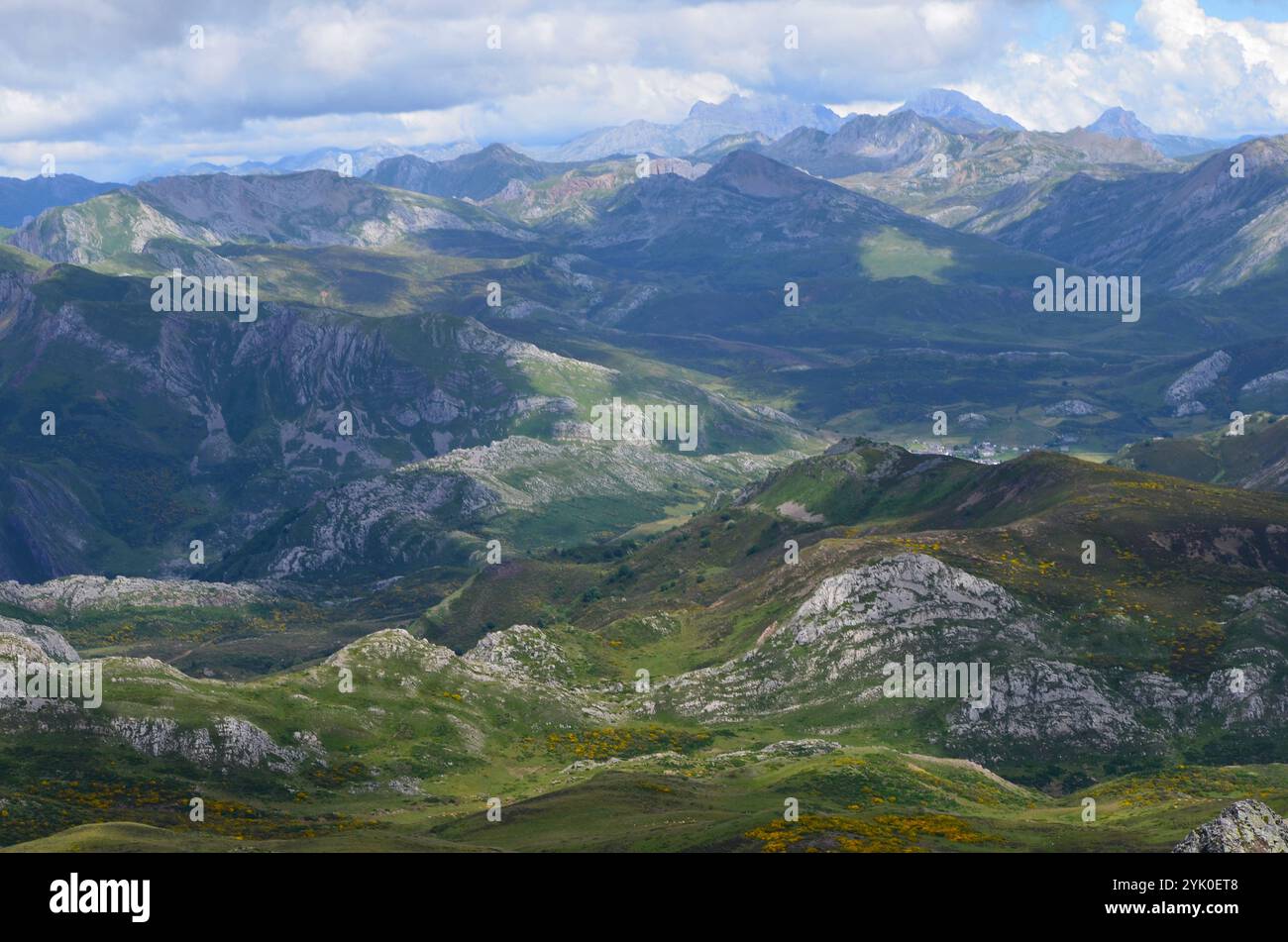 North spain mountains bear hi-res stock photography and images - Alamy