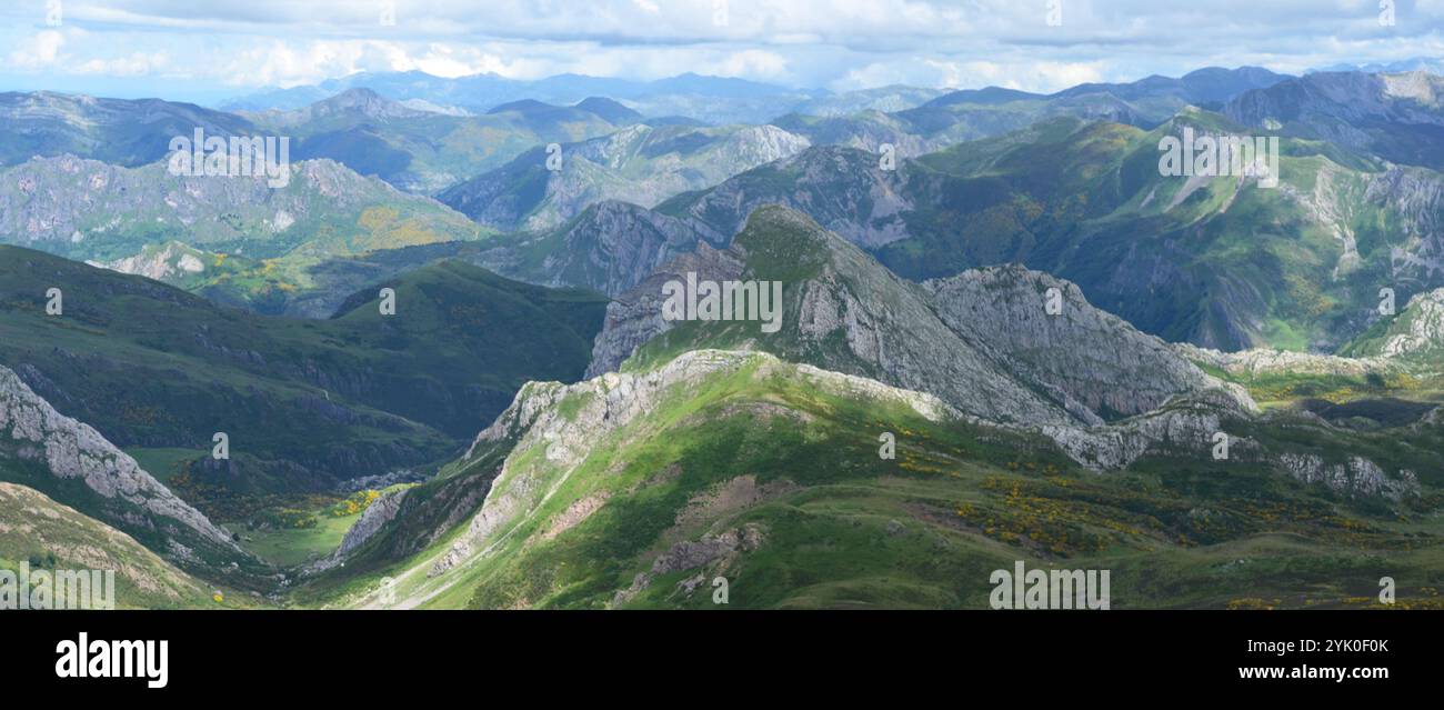North spain mountains bear hi-res stock photography and images - Alamy