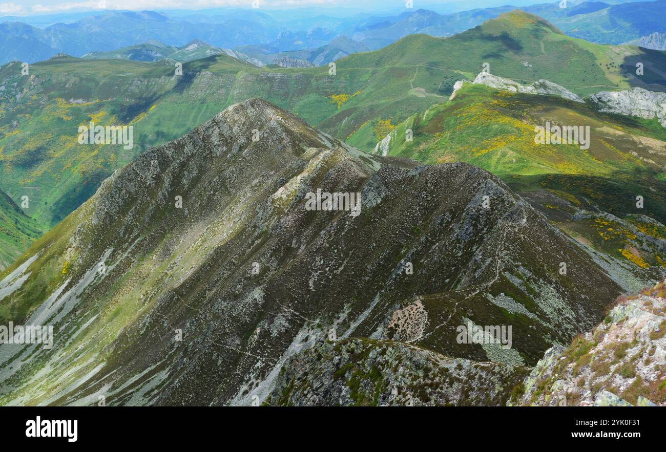 North spain mountains bear hi-res stock photography and images - Alamy