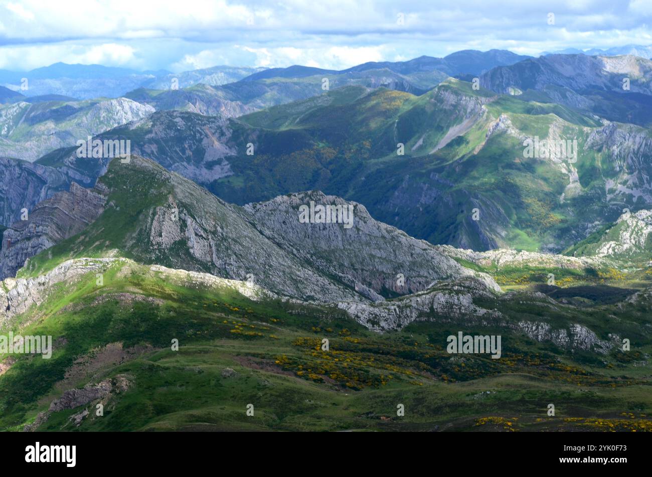 North spain mountains bear hi-res stock photography and images - Alamy