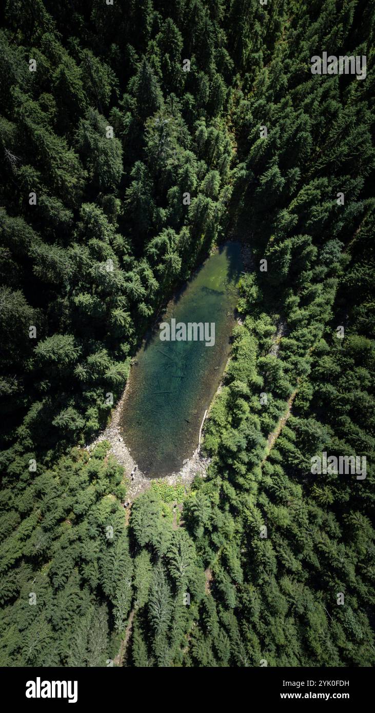 Misty dark lake hi-res stock photography and images - Alamy