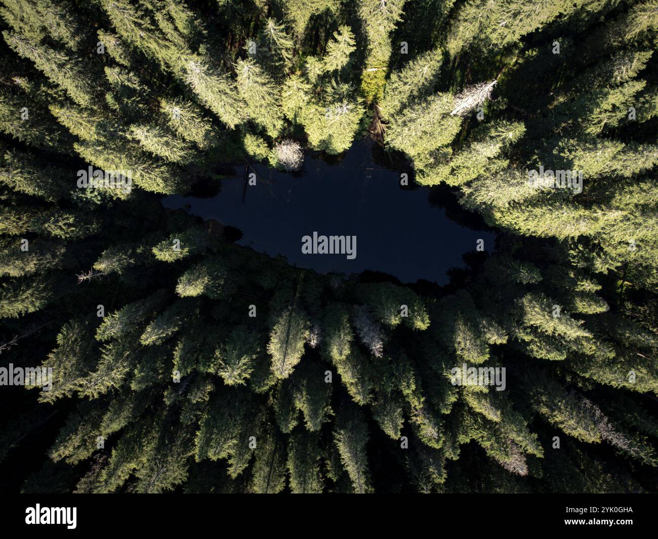Forest Lake in a mountain. Dark scene Stock Photo - Alamy