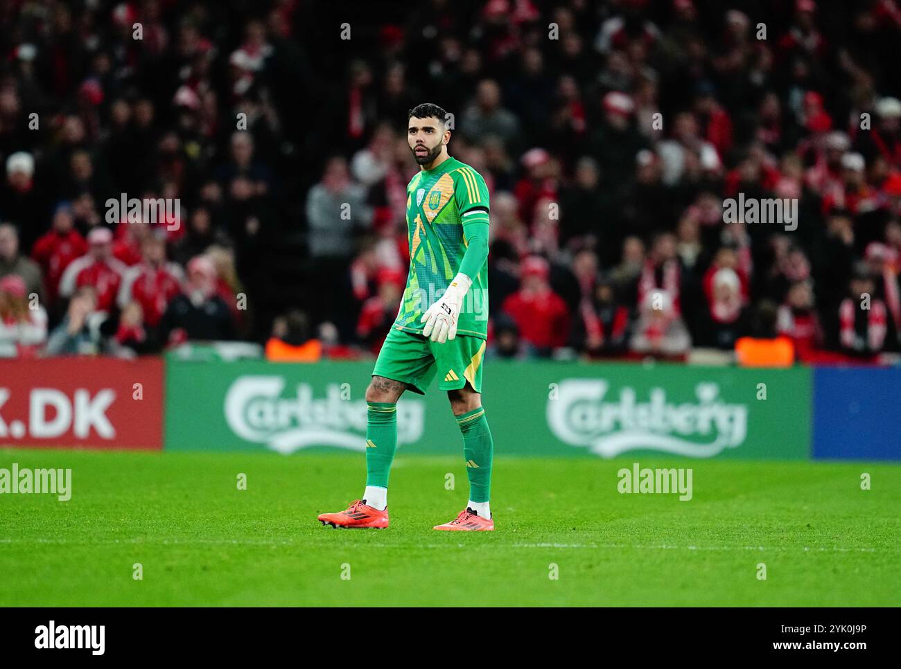 Parken, Copenhagen, Denmark. 15th Nov, 2024. David Raya of Spain looks ...