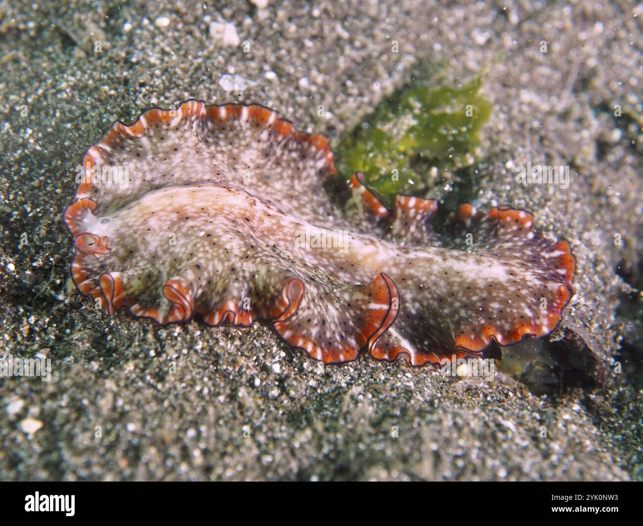 Sandy edges hi-res stock photography and images - Alamy
