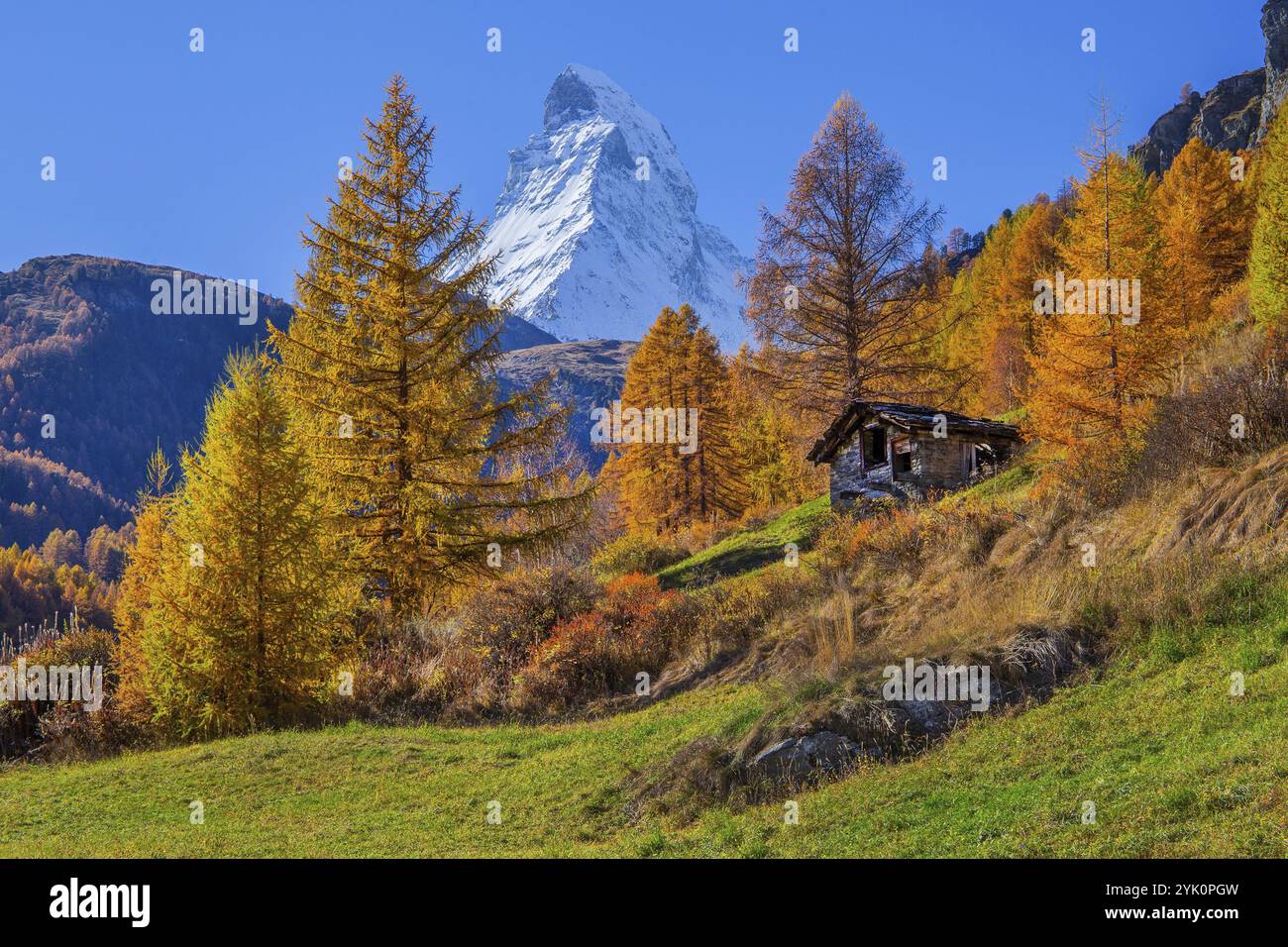 Autumn landscape with Matterhorn 4478m and golden yellow larches ...