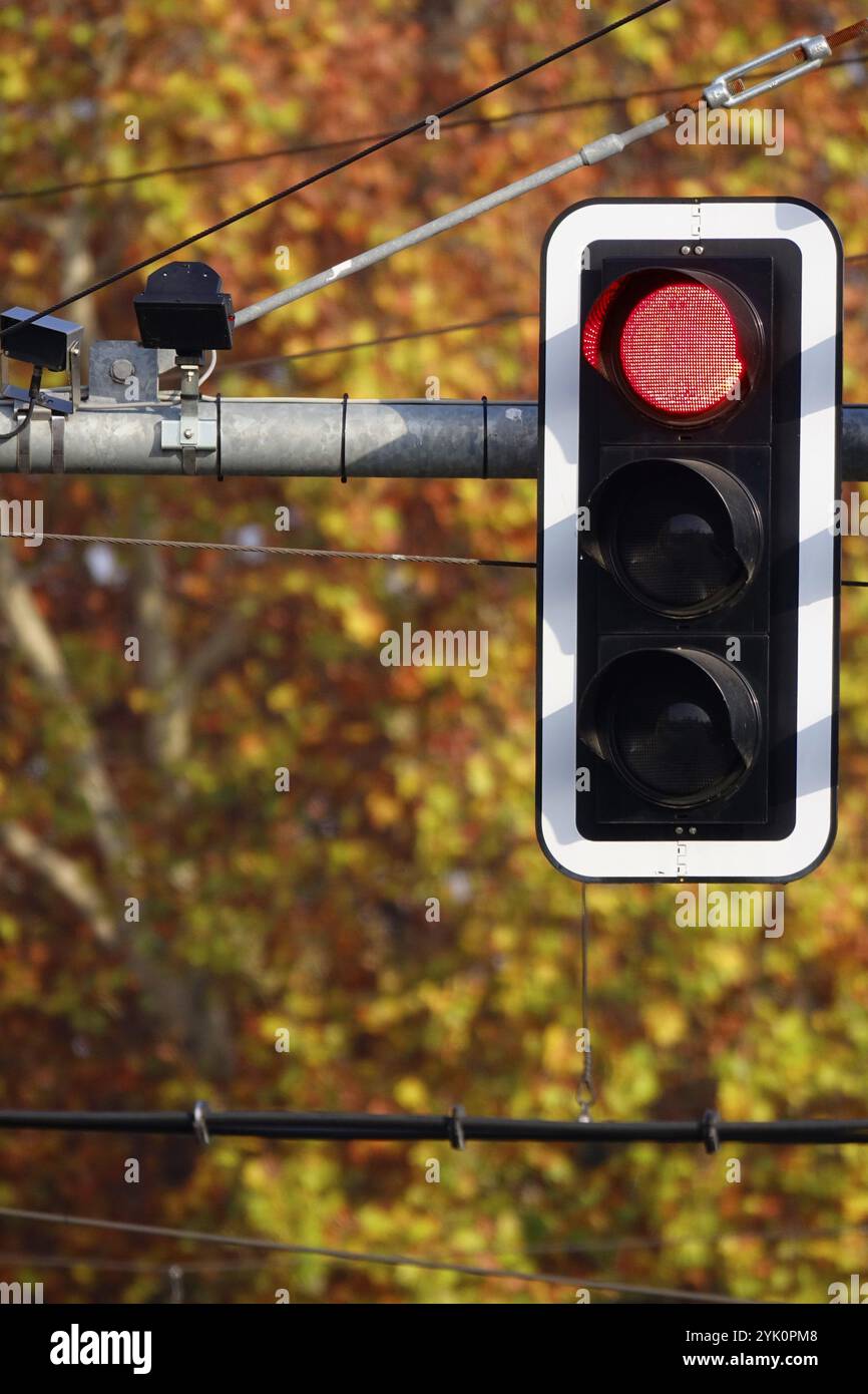 Traffic light, Germany, Europe Stock Photo - Alamy