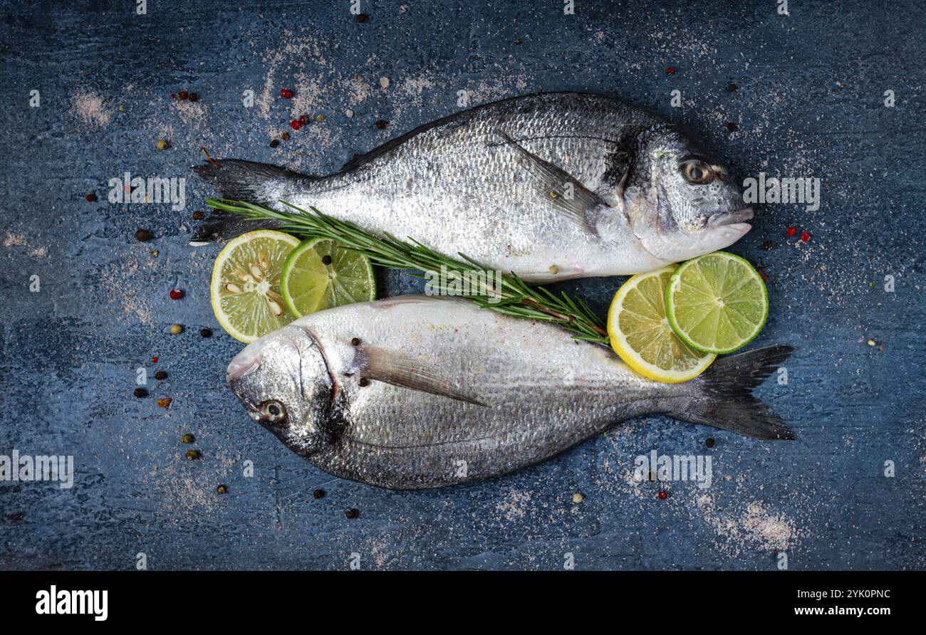 Fresh, raw dorado fish, on a dark blue background, top view, two pieces ...