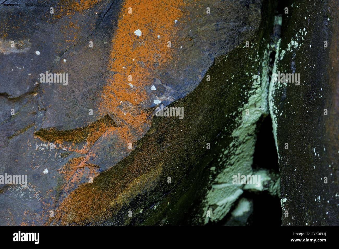 Rock covered with orange and green lichen, Mykines, Utoyggjar, Faroe ...