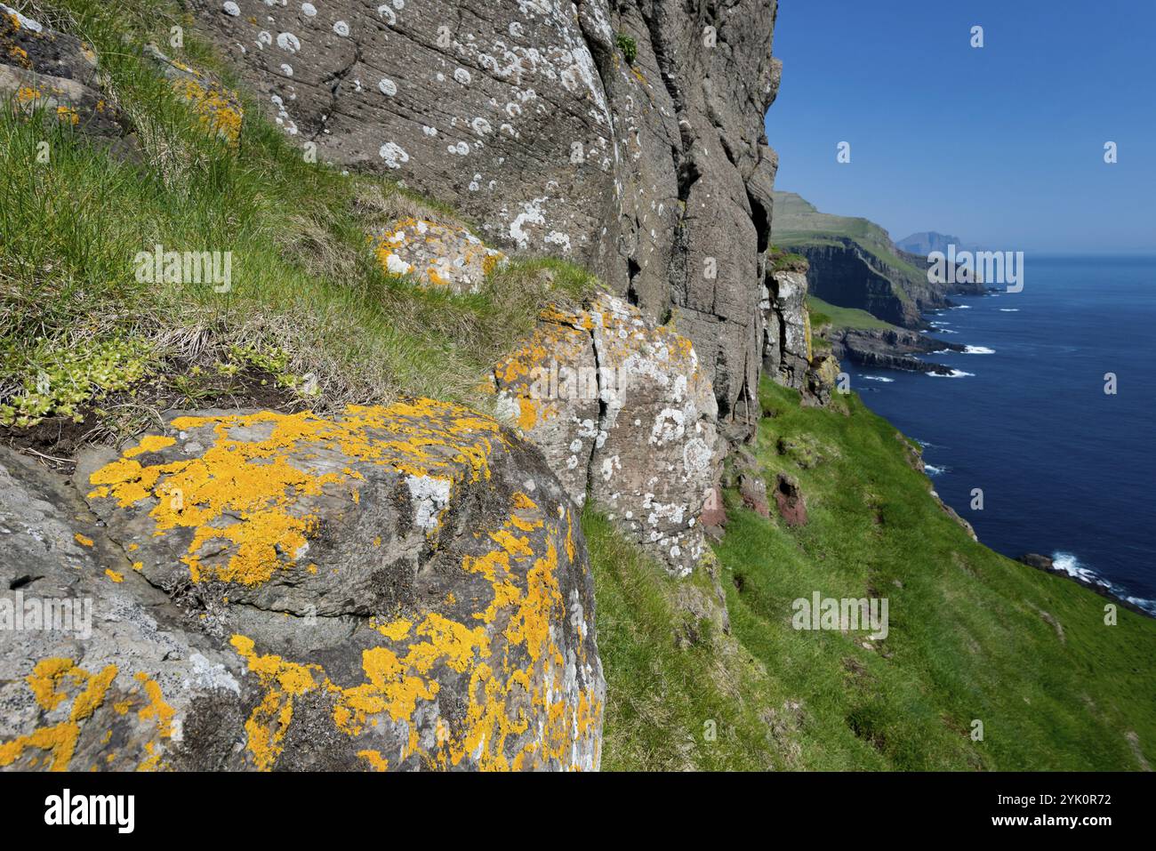 Yellow lichen, rocky coast of Mykines, behind Vagar Island, Mykines ...