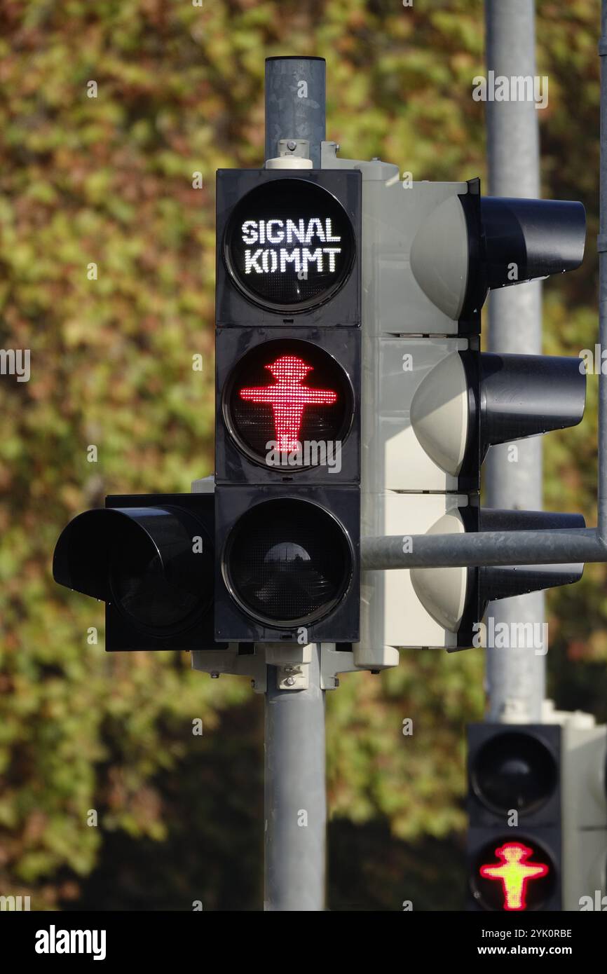 Traffic light, Germany, Europe Stock Photo - Alamy