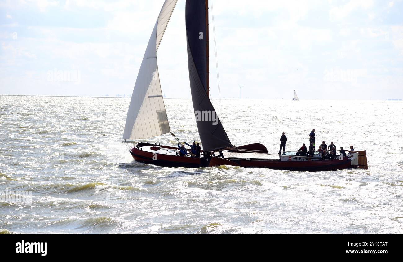 Traditional, flat-bottomed Frisian sailing ships in a yearly ...