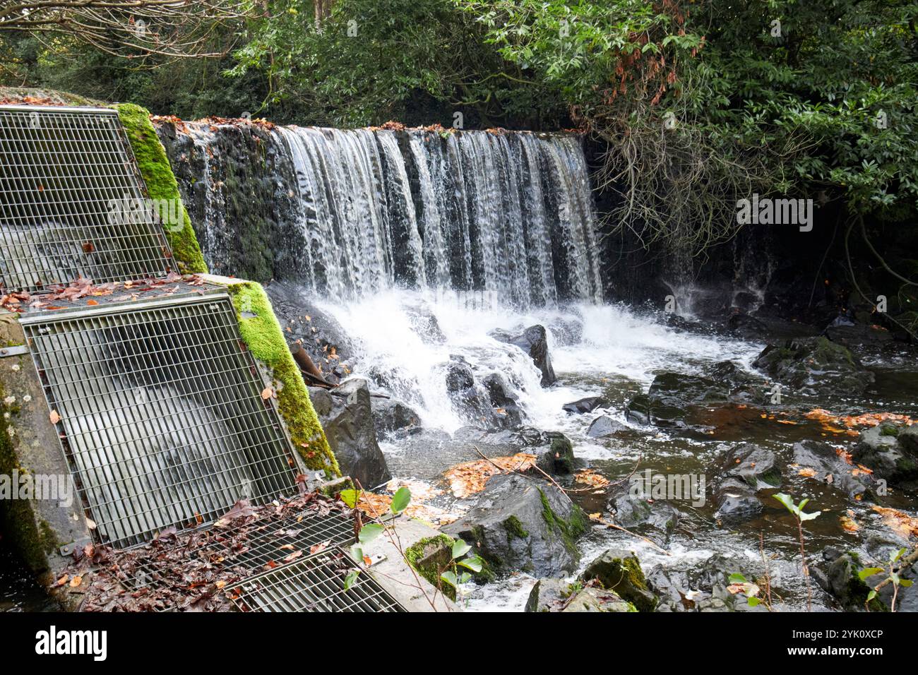 weir and migratory fish bypass on the crumlin river flowing through ...