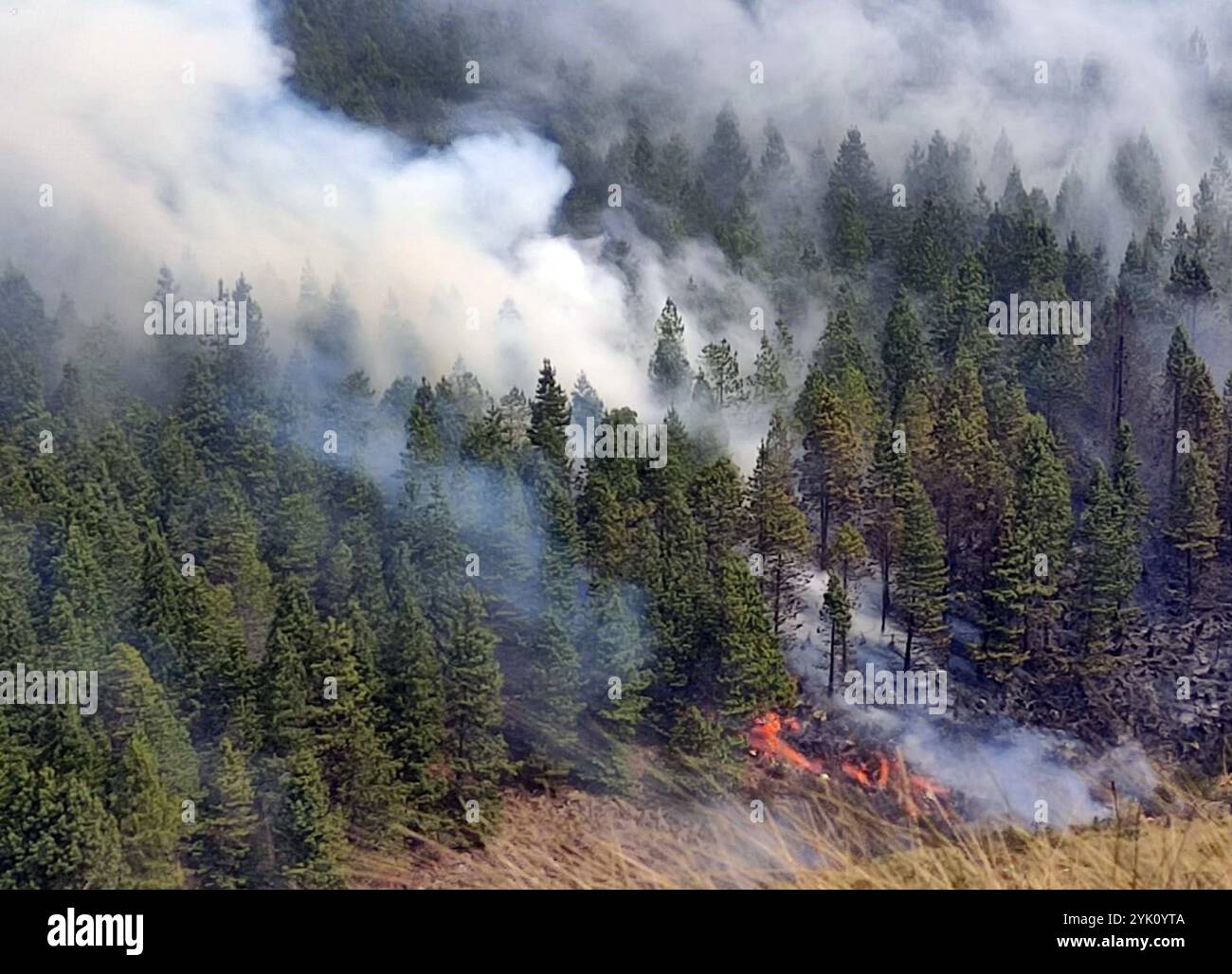 CUENCA CAJAS FOREST FIRE Cuenca,Ecuador November 16, 2024 The National ...