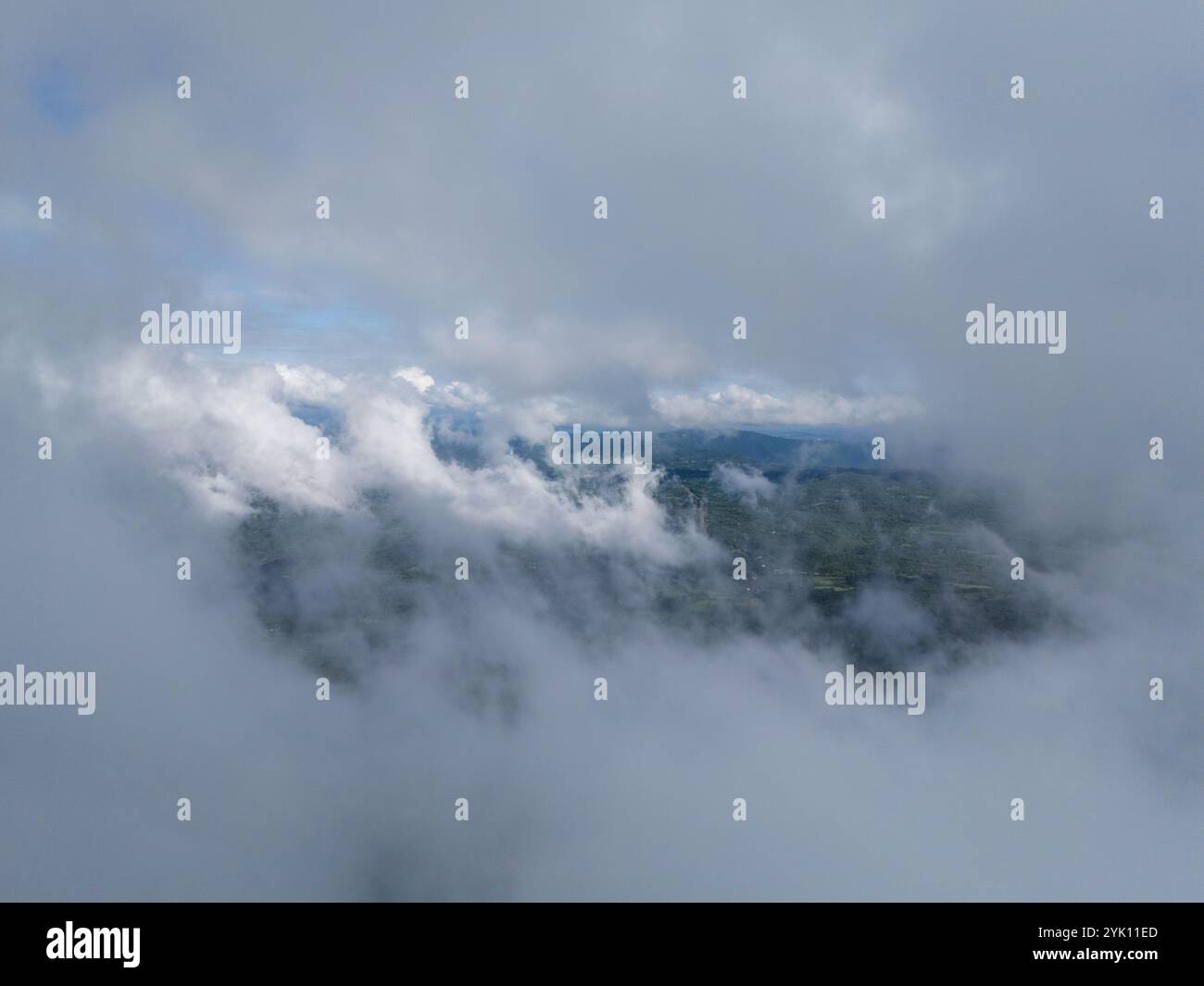 Thick mist envelops lush green forest below, creating serene and ...