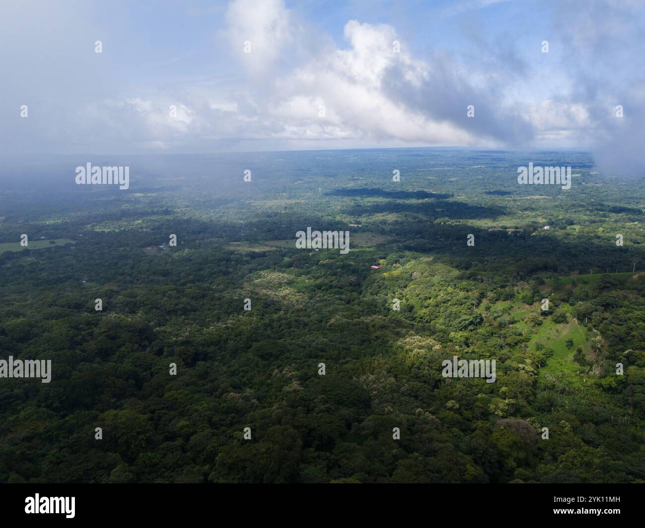 Vast stretch of lush greenery and dense trees can be seen under partly ...