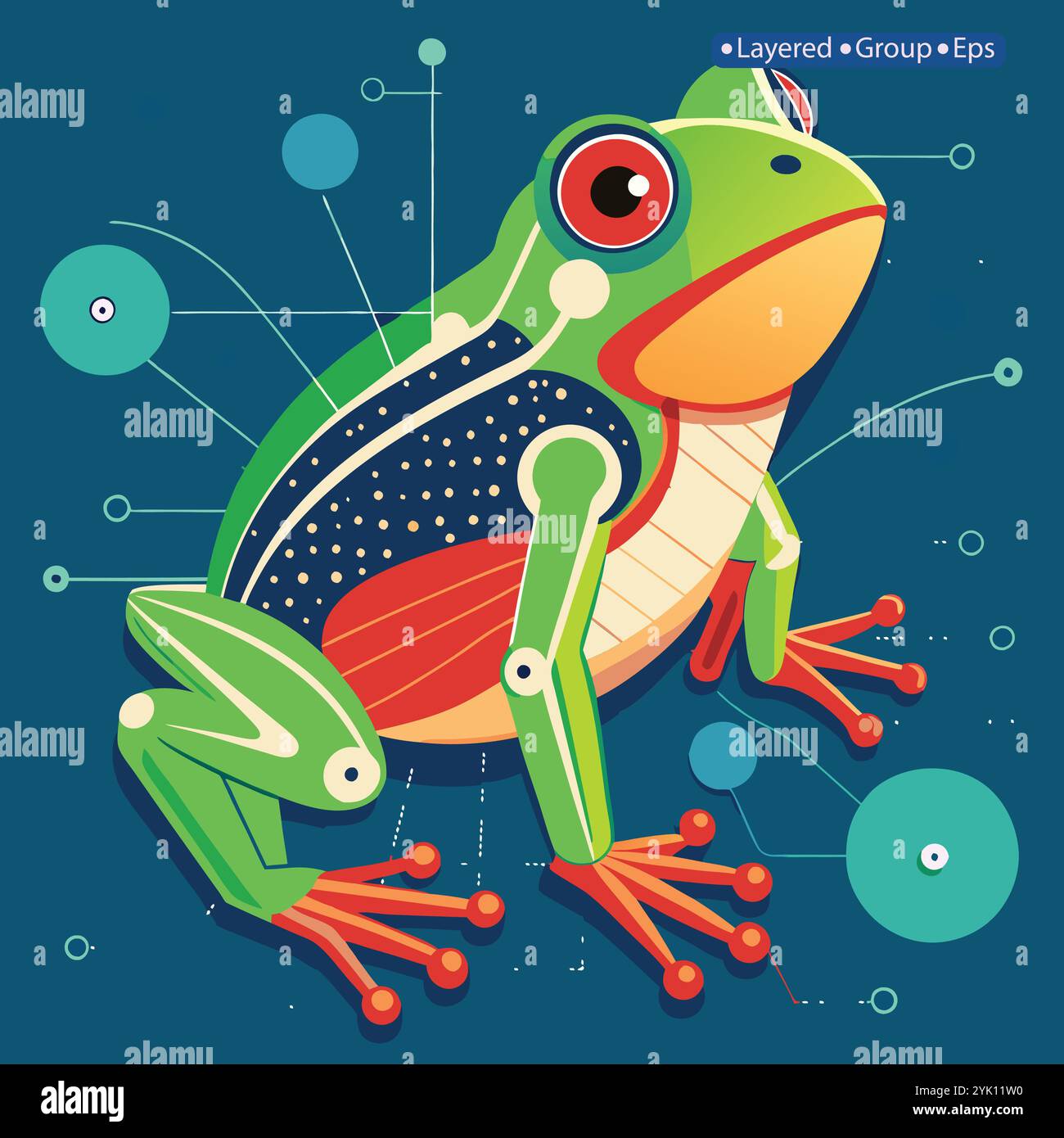 Aquatic anatomy Stock Vector Images - Alamy