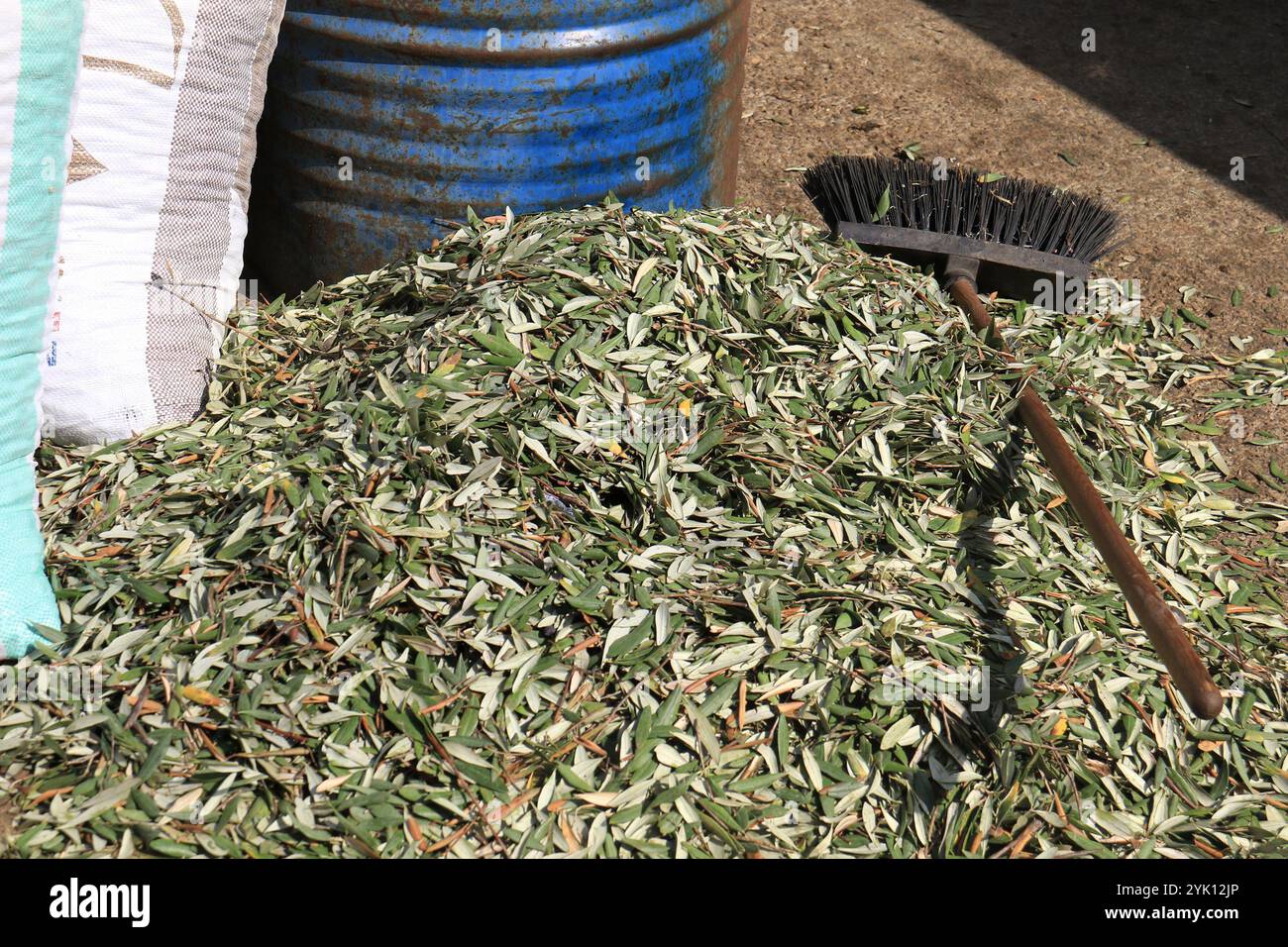 Crop leaves hi-res stock photography and images - Alamy