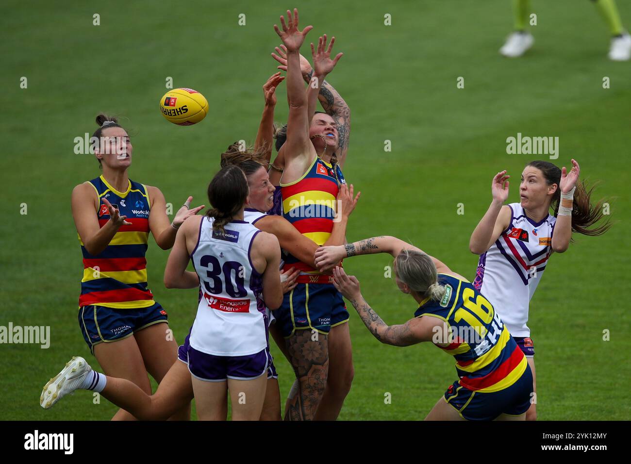 Adelaide, Australia. 16th Nov, 2024. Caitlin Gould, Anne Hatchard and ...