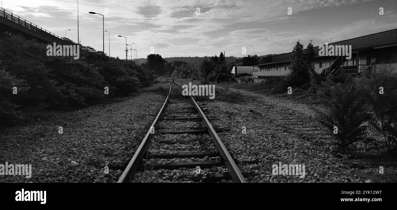 Abandon railway hi-res stock photography and images - Alamy