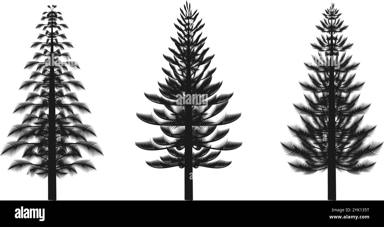 pine trees set silhouette style. vector illustration isolated on white ...