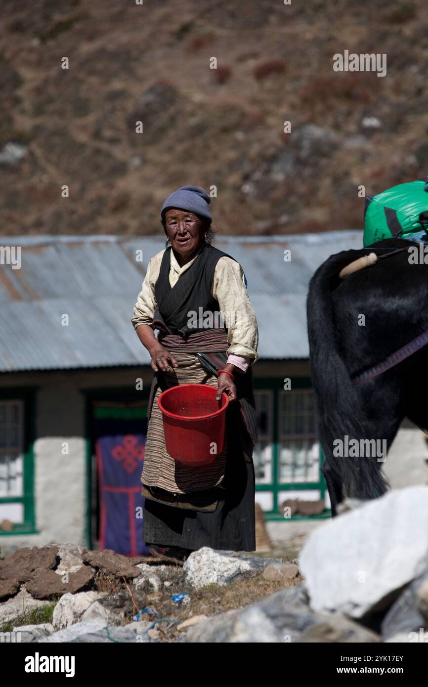 October 2009 WWF Everest en route Pangboche to Dengboche Stock Photo ...