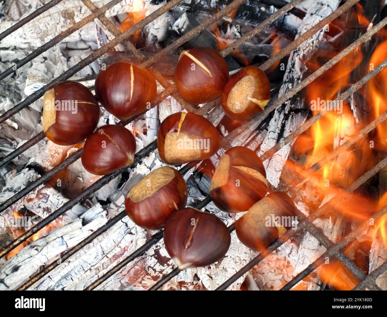A group of chestnuts (Juglans regia) is roasting on the grill Stock ...