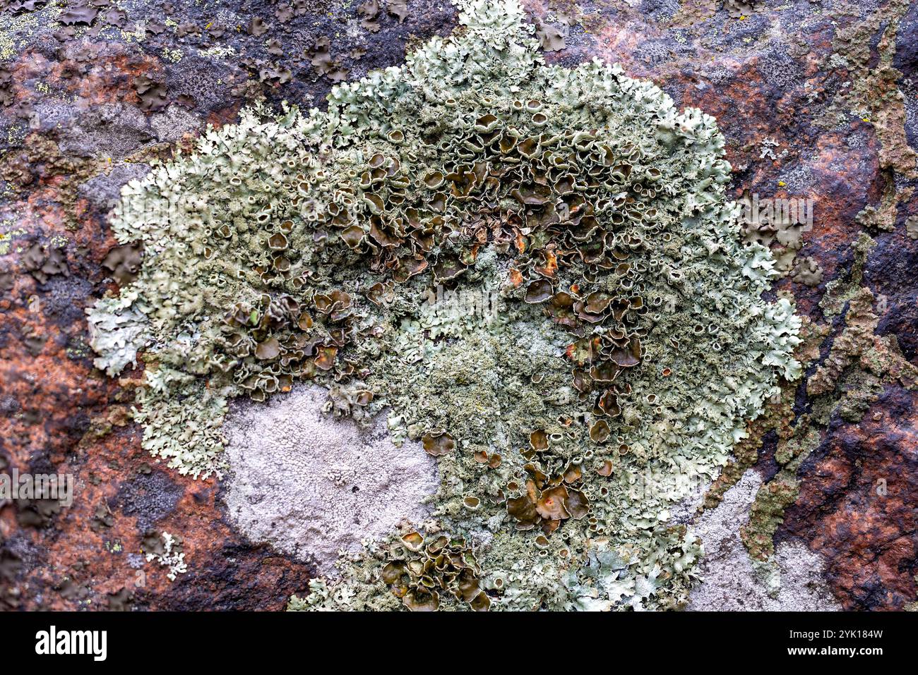 Green rock shields hi-res stock photography and images - Alamy