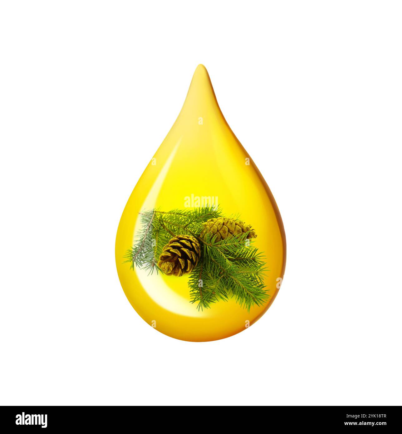 Conifer essential oil drop with fir tree branch inside on white ...