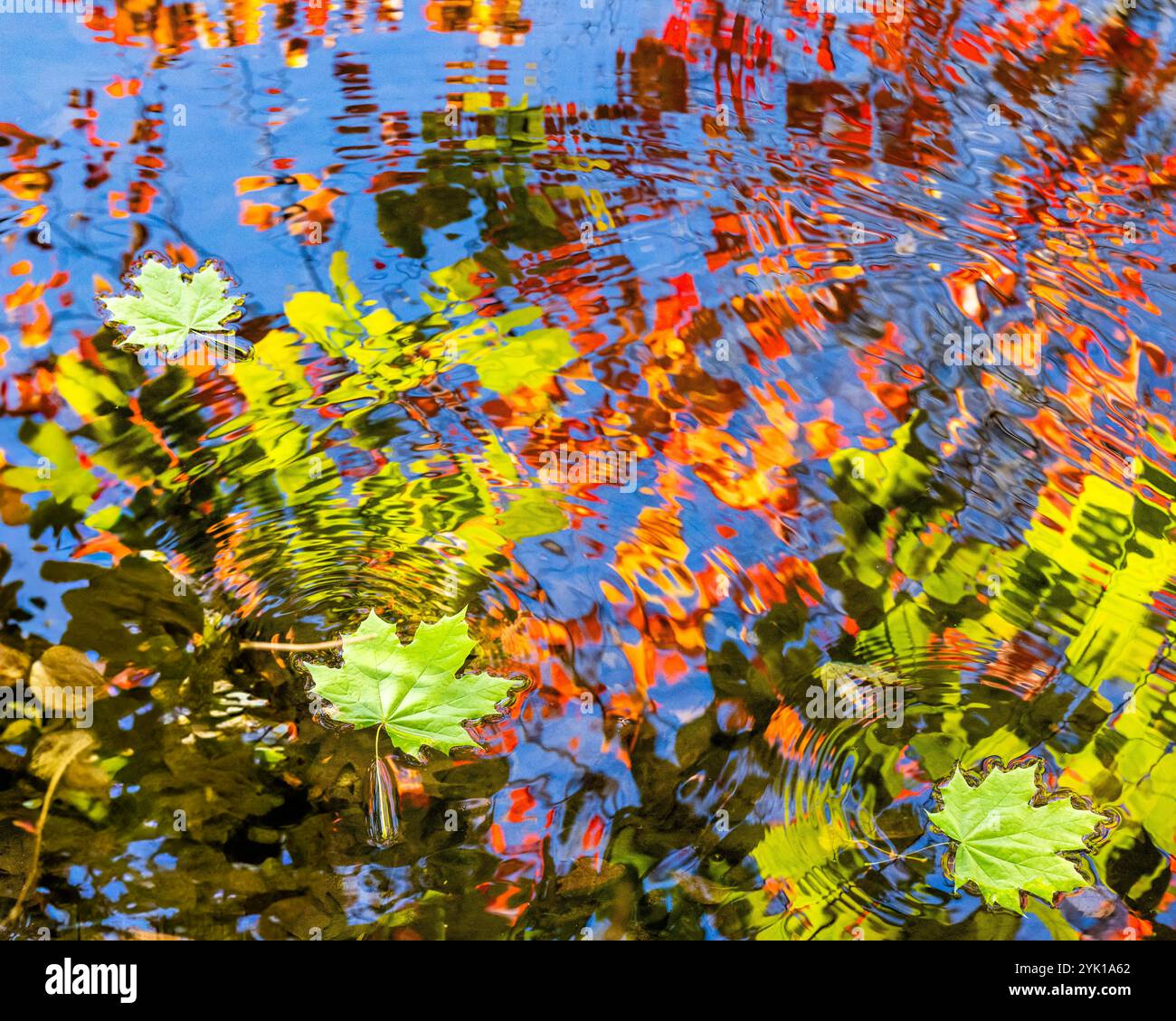 Delaware county hi-res stock photography and images - Alamy