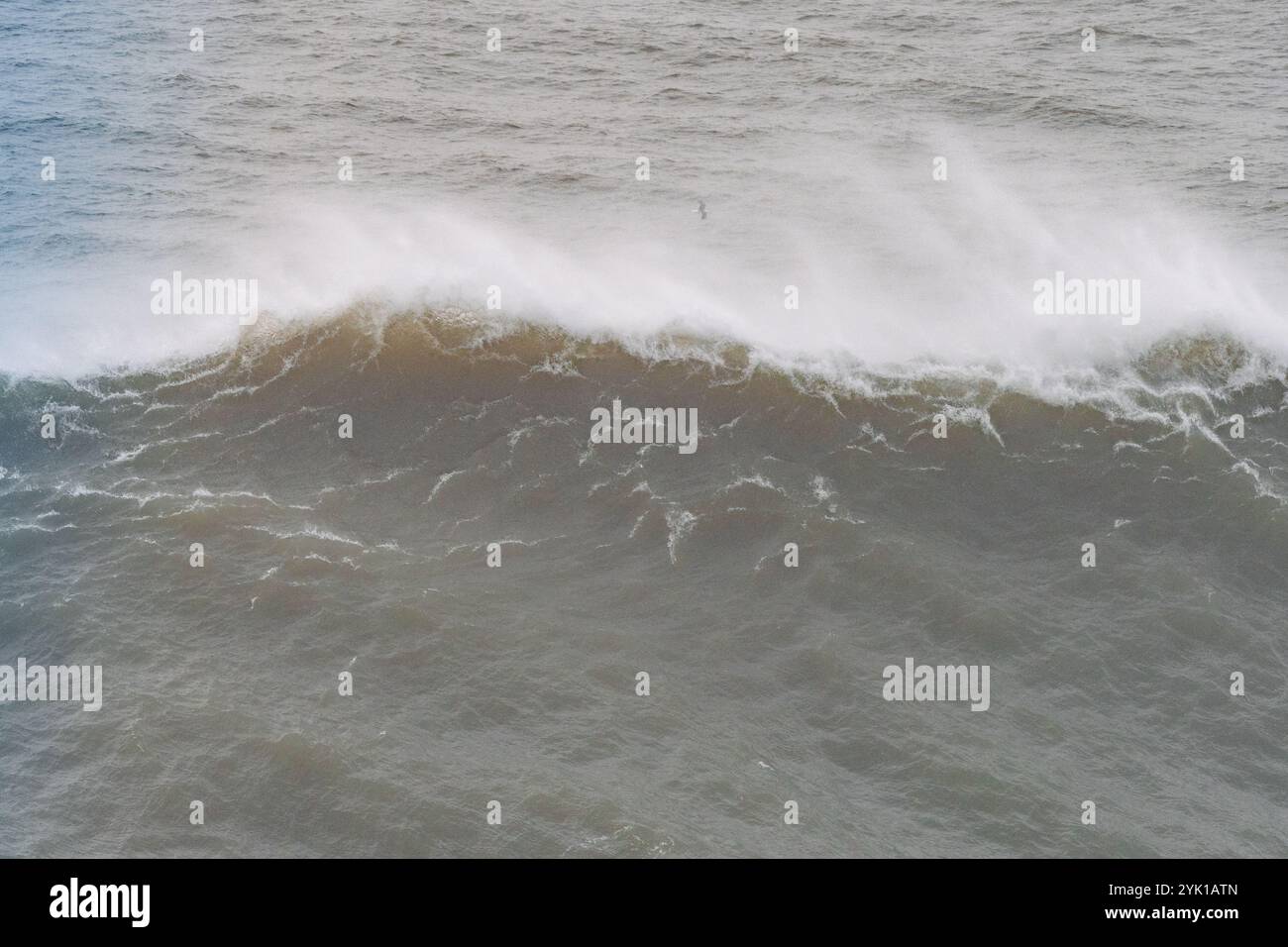 Powerful wave breaking in ocean Stock Photo - Alamy