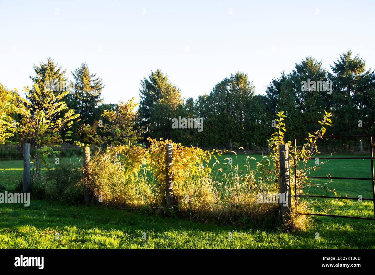 Farmland on Tecumseh Road in Tilbury, Ontario, Canada Stock Photo - Alamy