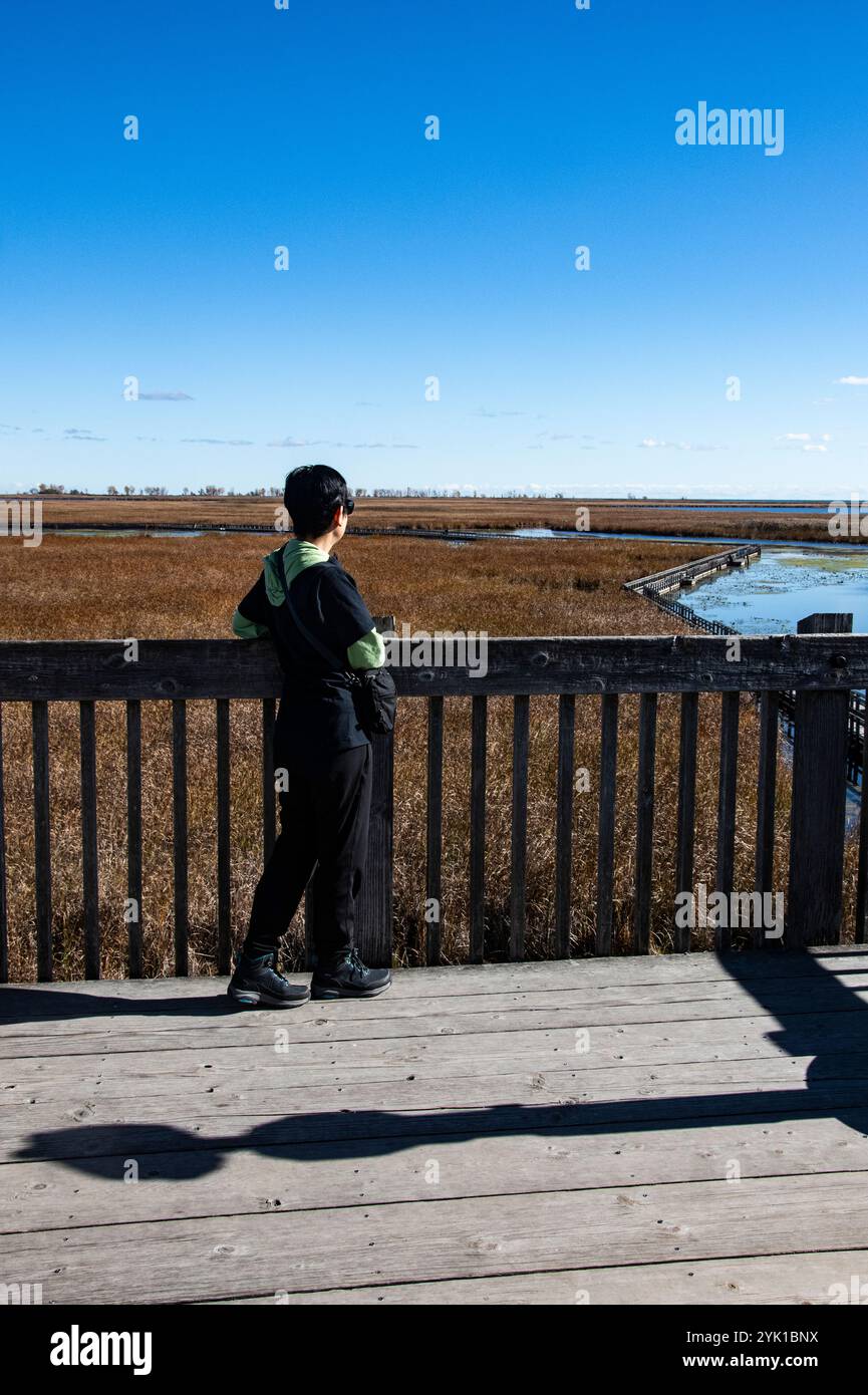 Marsh Board Walk viewing platform at Point Pelee National Park in ...