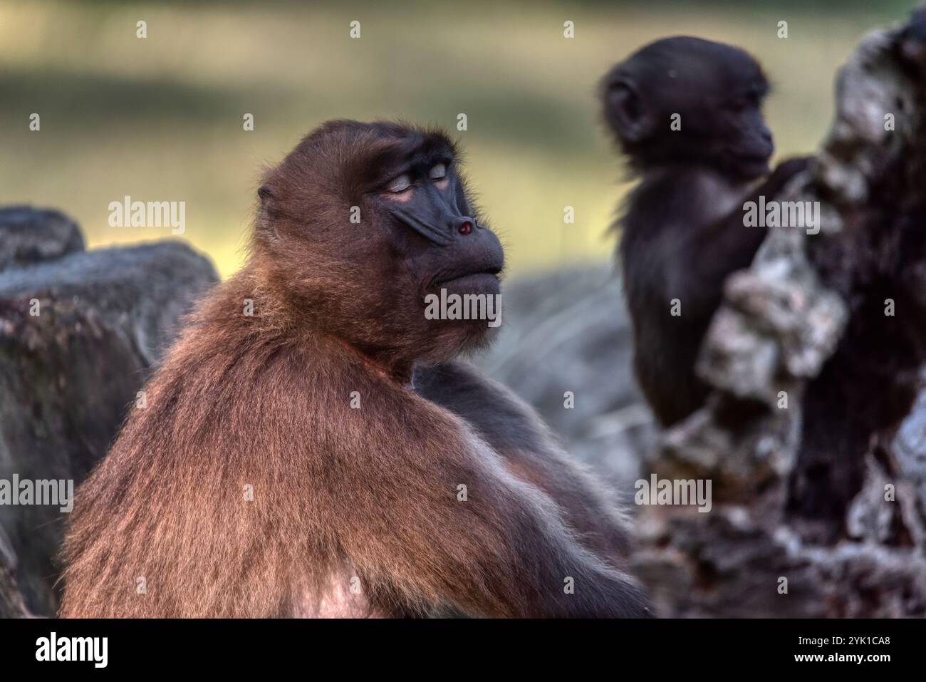 Eye test african hi-res stock photography and images - Alamy