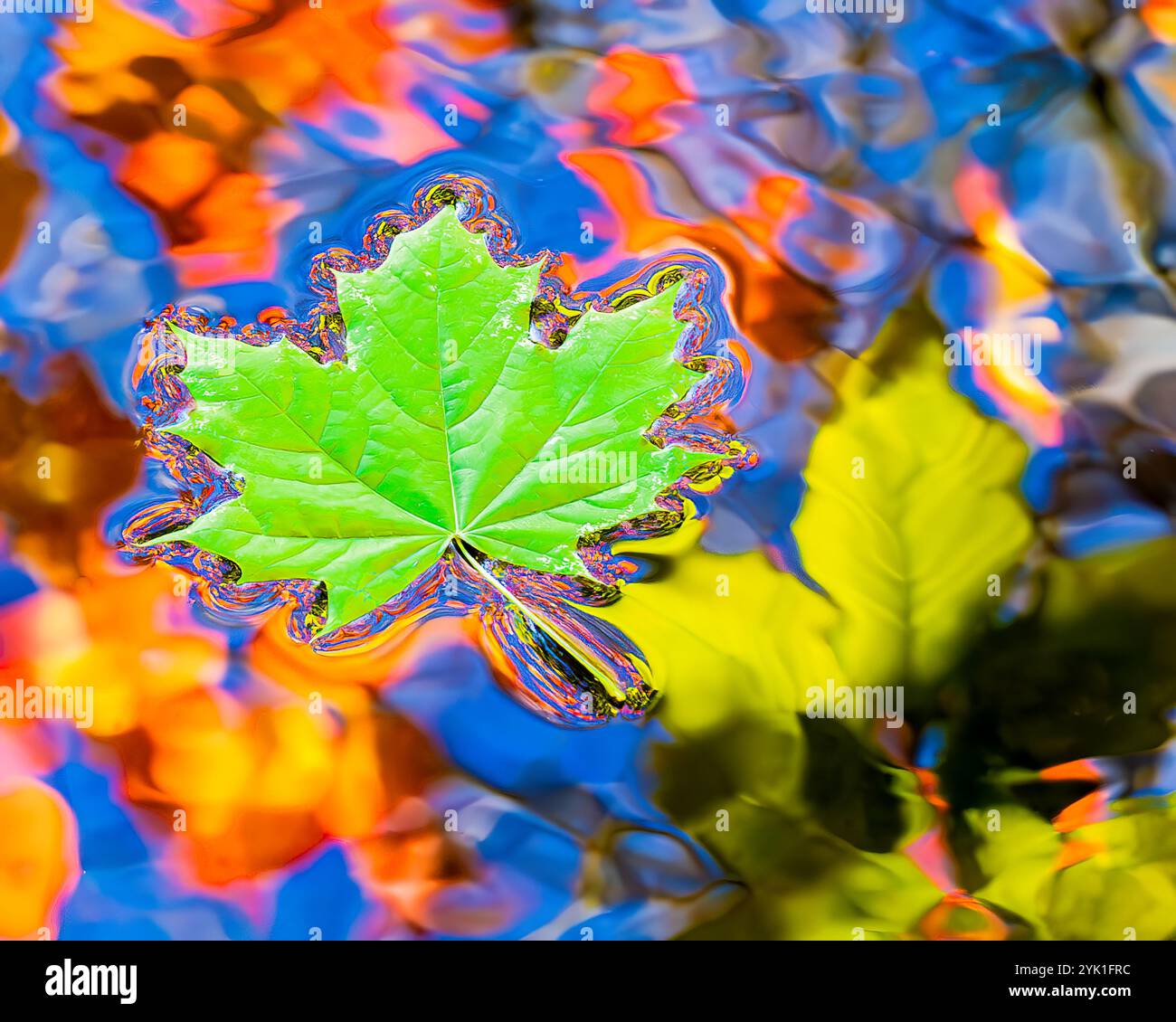 Fall foliage United States - colorful waterscape of green autumn leaf ...