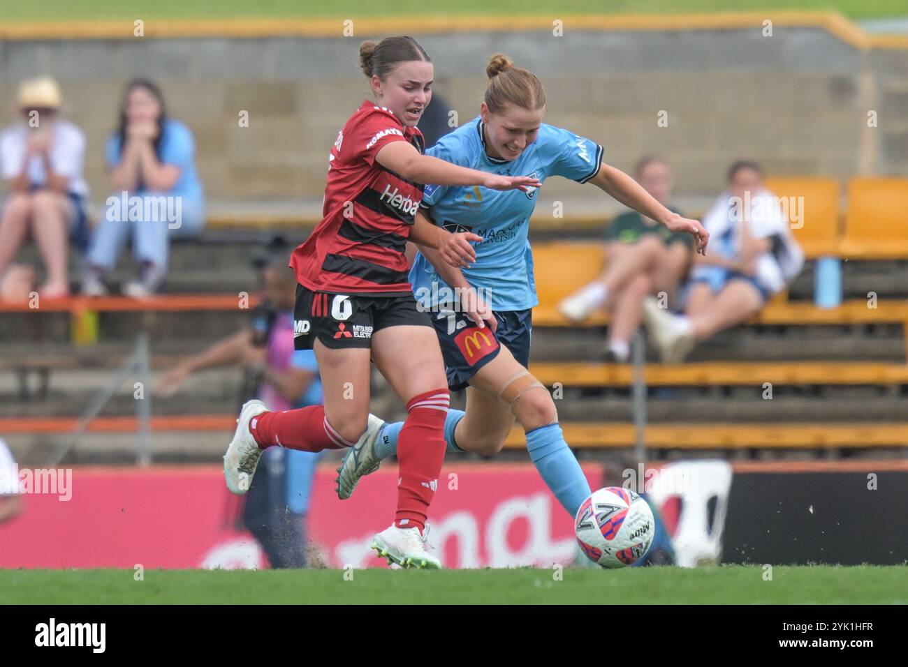 Lilyfield, Australia. 16th Nov, 2024. Amy Chessari (L) of Western ...