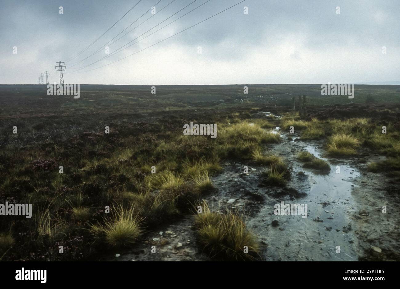An overhead electricity line crossing moorland at Flass Brow on the ...