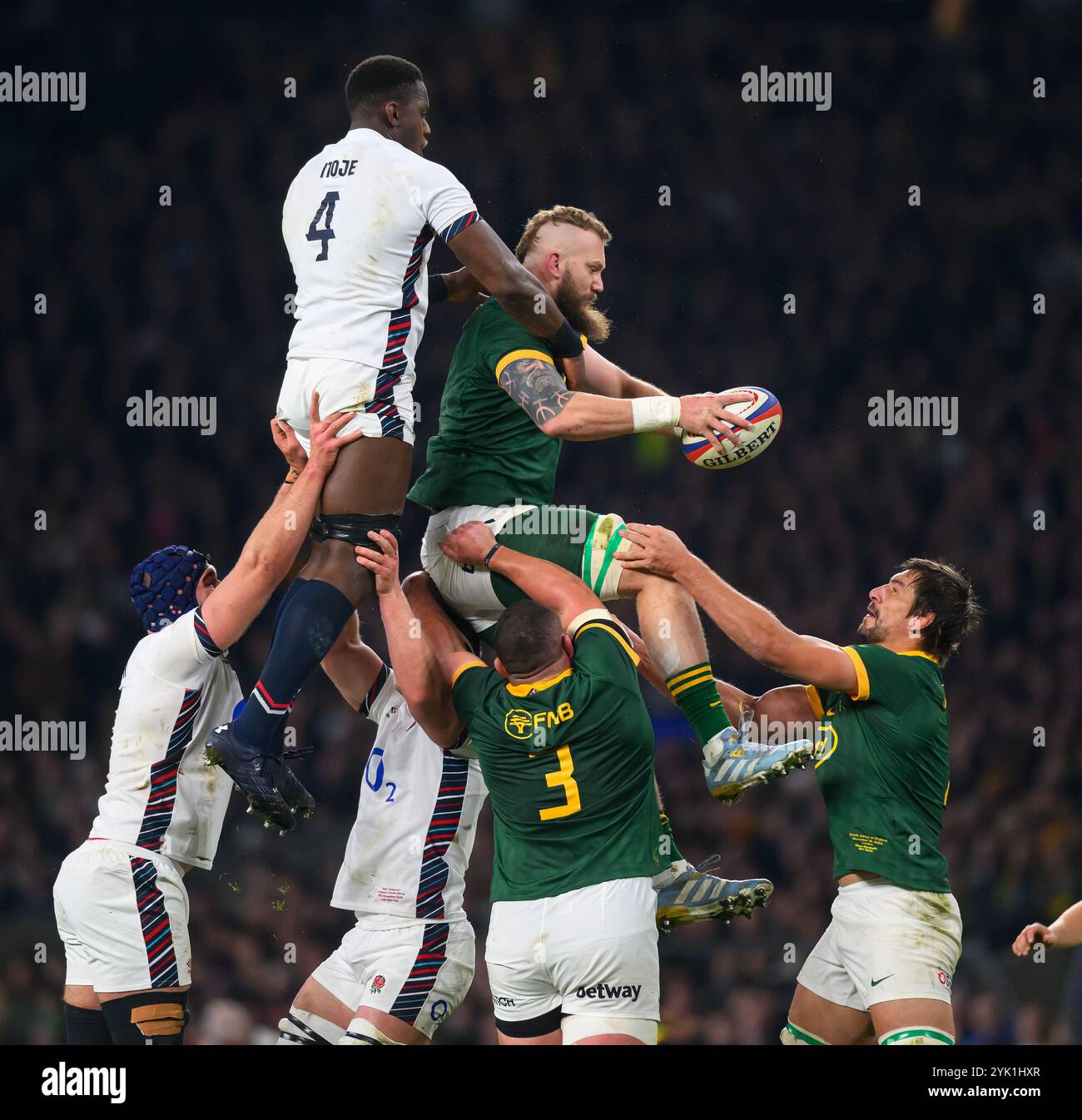 Rg snyman springboks hi-res stock photography and images - Alamy